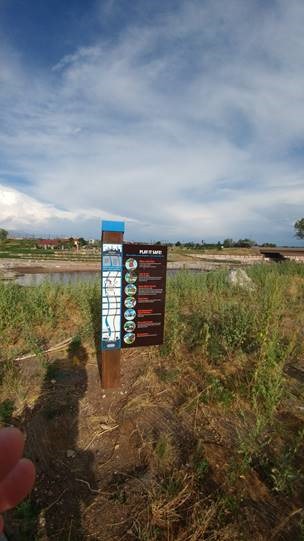 These signs will allow regulators and politicians to say we told you so ...